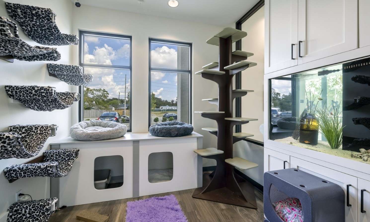 Cat Care Center of Baton Rouge - WHLC Architecture